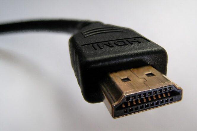 Mengenal DisplayPort, HDMI, DVI, dan VGA: Perbedaan dan Fungsinya ...